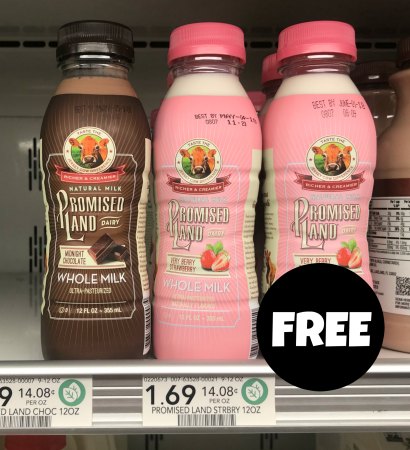 chocolate milk promised land