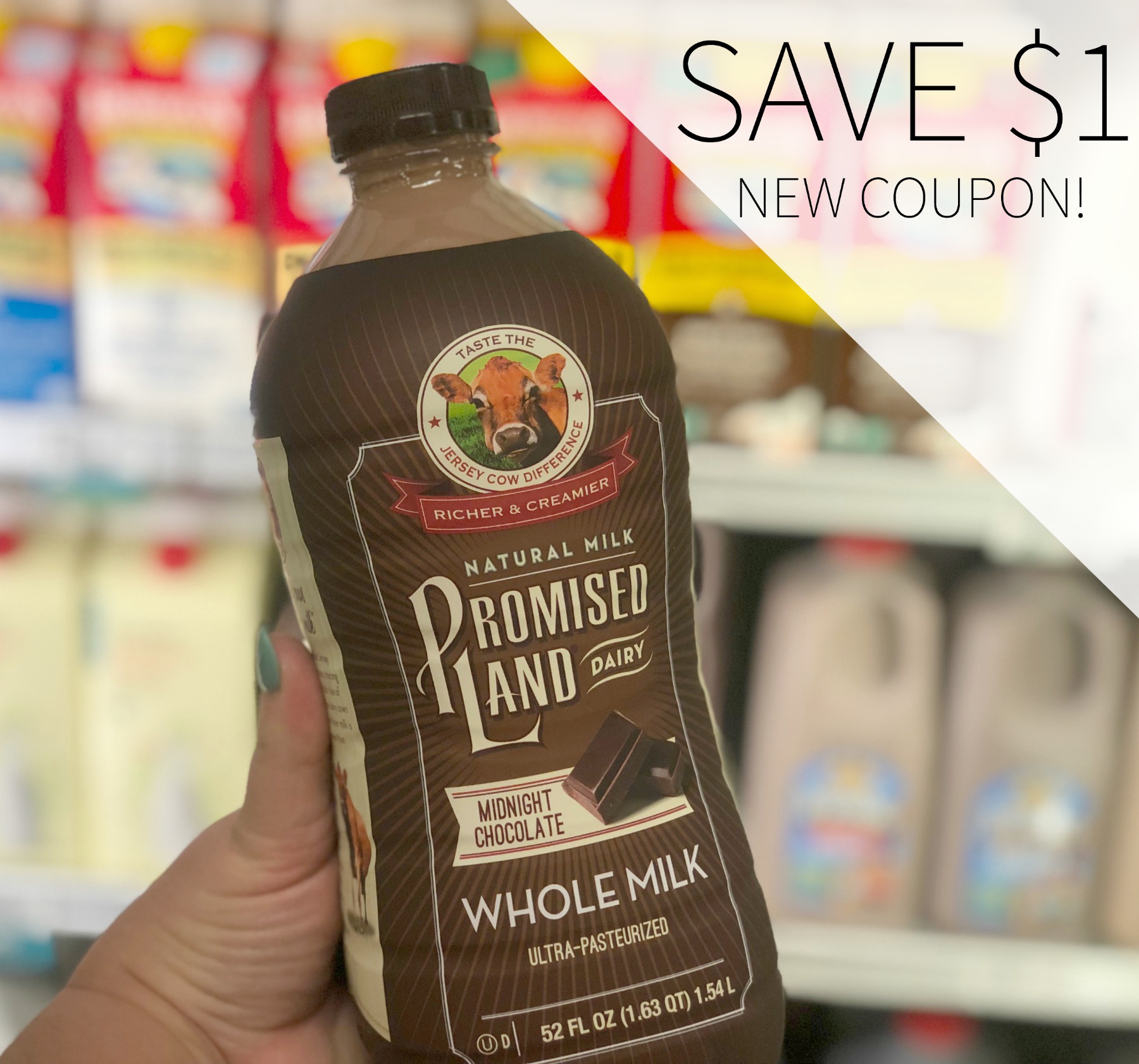 High Value Promised Land Milk Coupon - Save $1 At Publix!