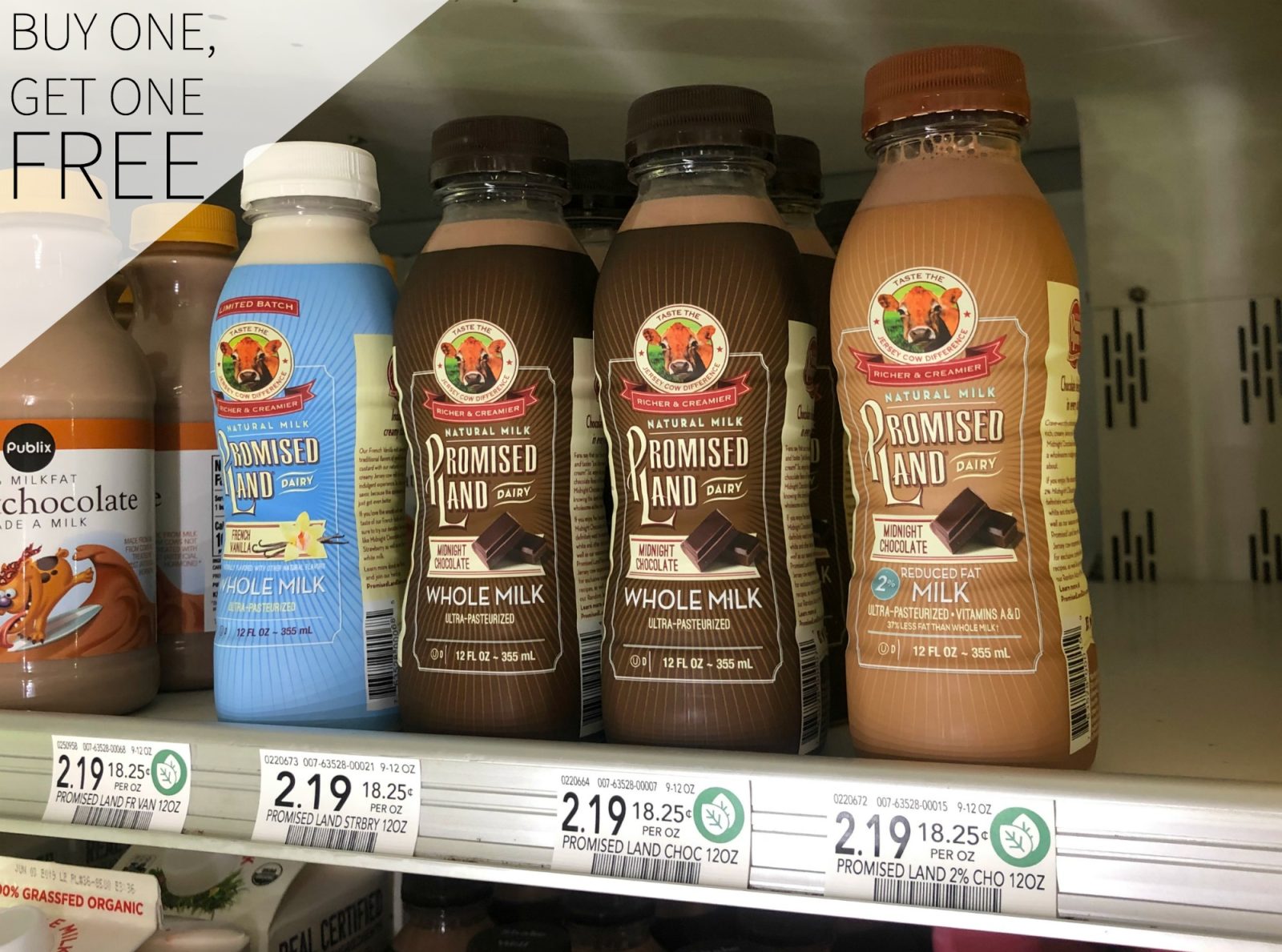 New Promised Land Dairy Milk Coupon – Buy One, Get One FREE At Publix ...