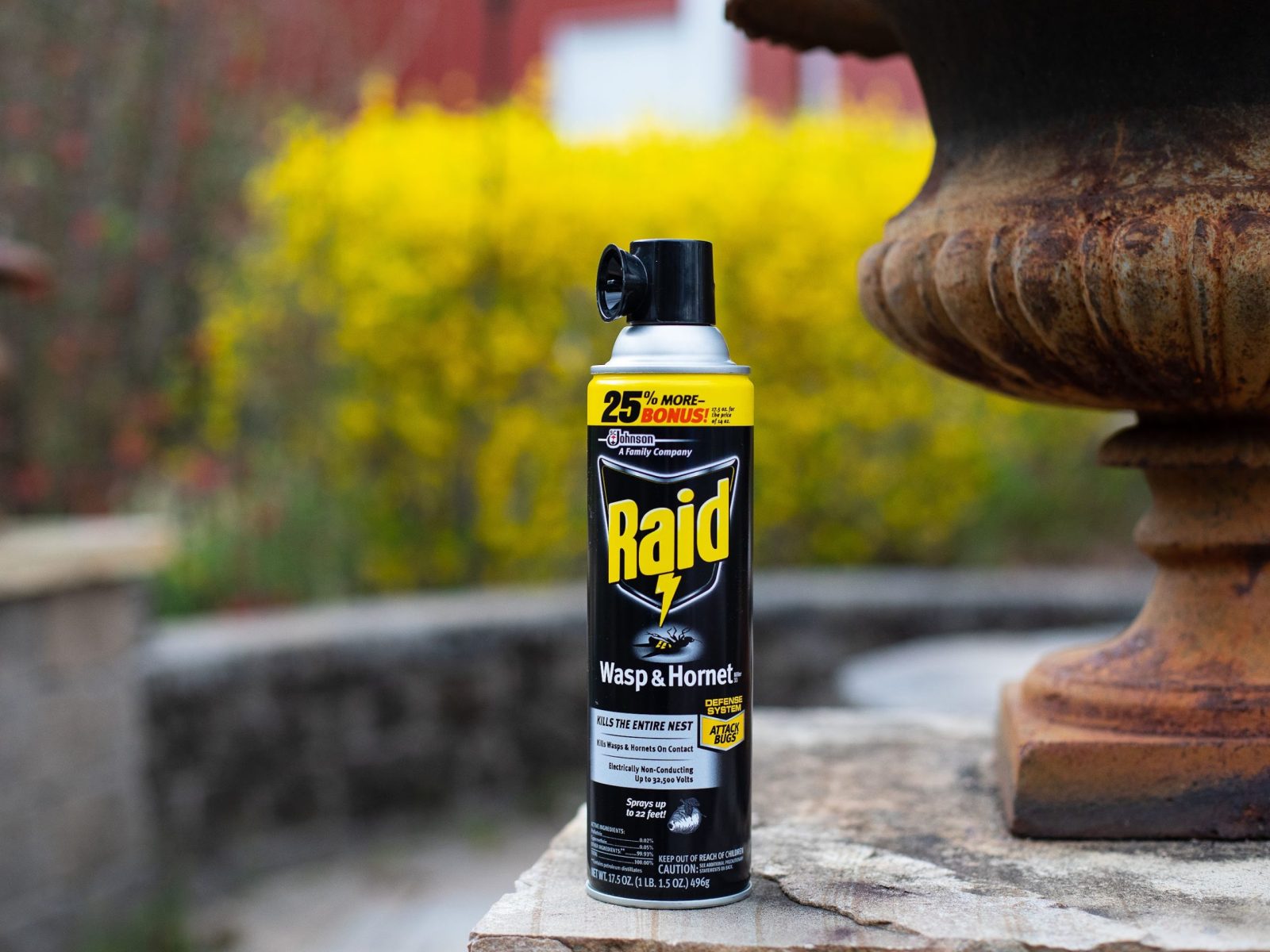 Great Deals On Raid® Products At Publix – Save 20% On Everything You ...