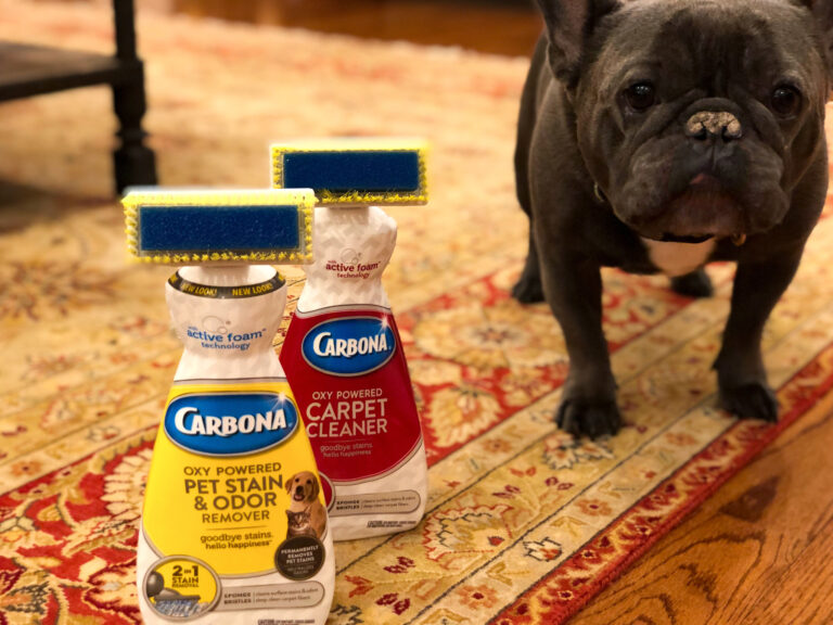 Carbona Carpet Cleaner As Low As $1.85 At Publix - iHeartPublix