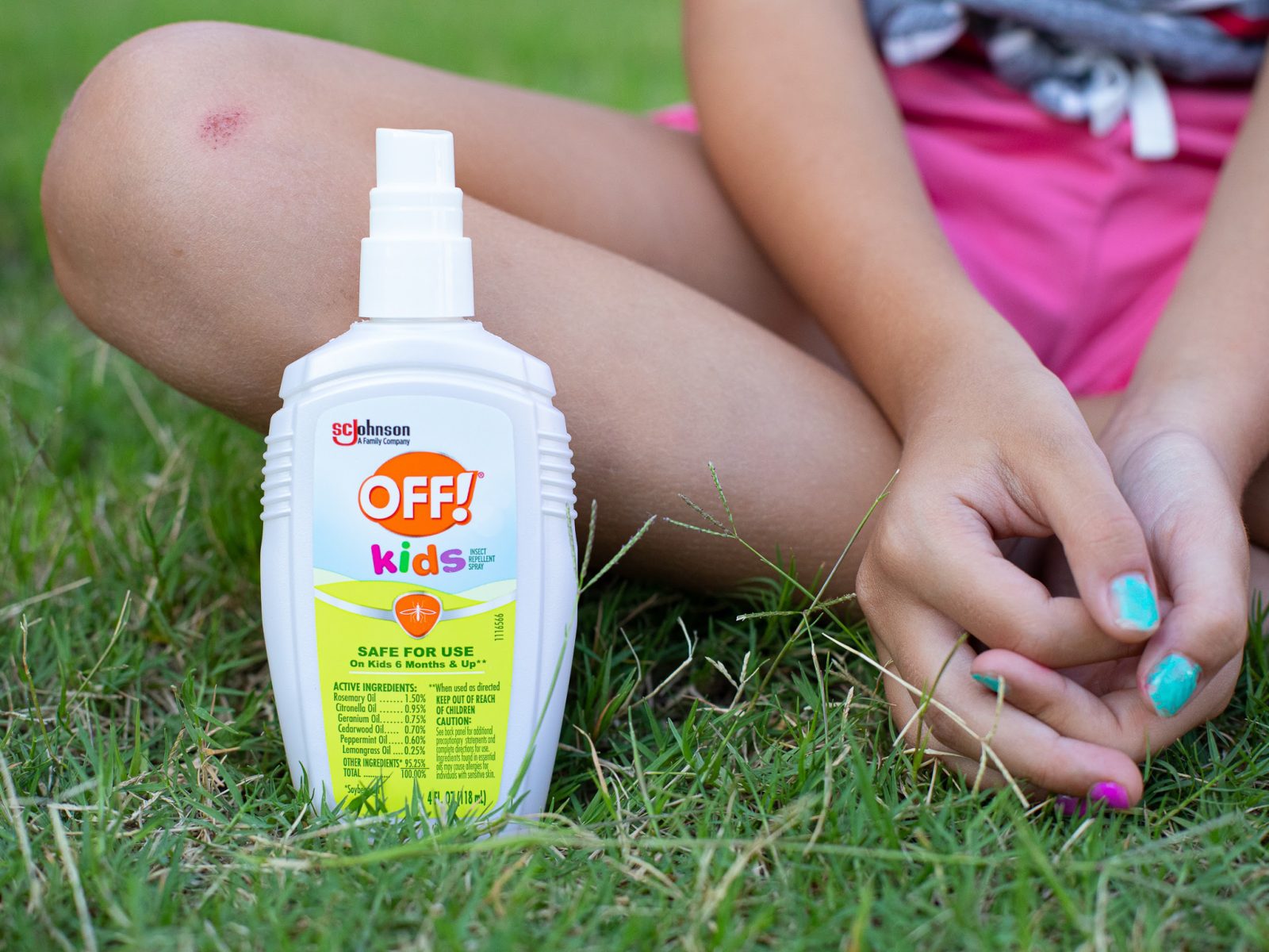 Grab Savings On OFF!® Repellent At Publix And Get Ready For Labor Day ...
