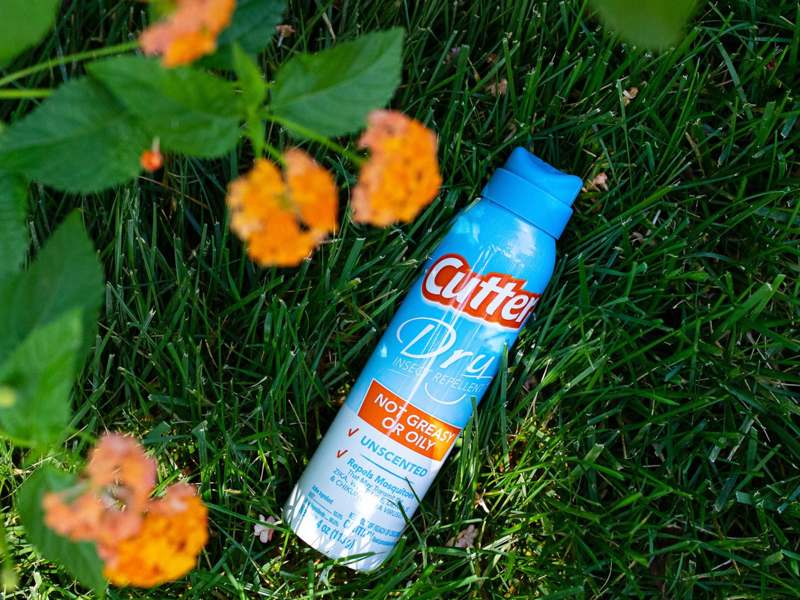 Cutter Insect Repellent As Low As $2.37 At Publix - iHeartPublix