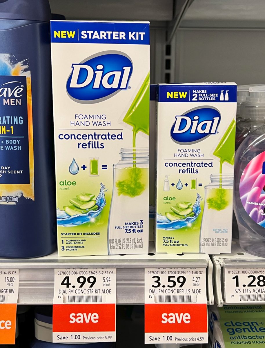 Dial Foaming Hand Wash Concentrated Refills Just $2.59 At Publix – Plus ...