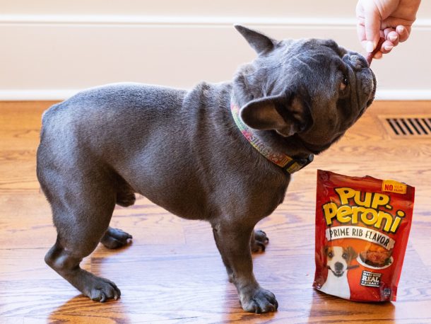 Get The Bags Of Pup-Peroni Dog Snacks For Just $2 At Publix (Regular ...