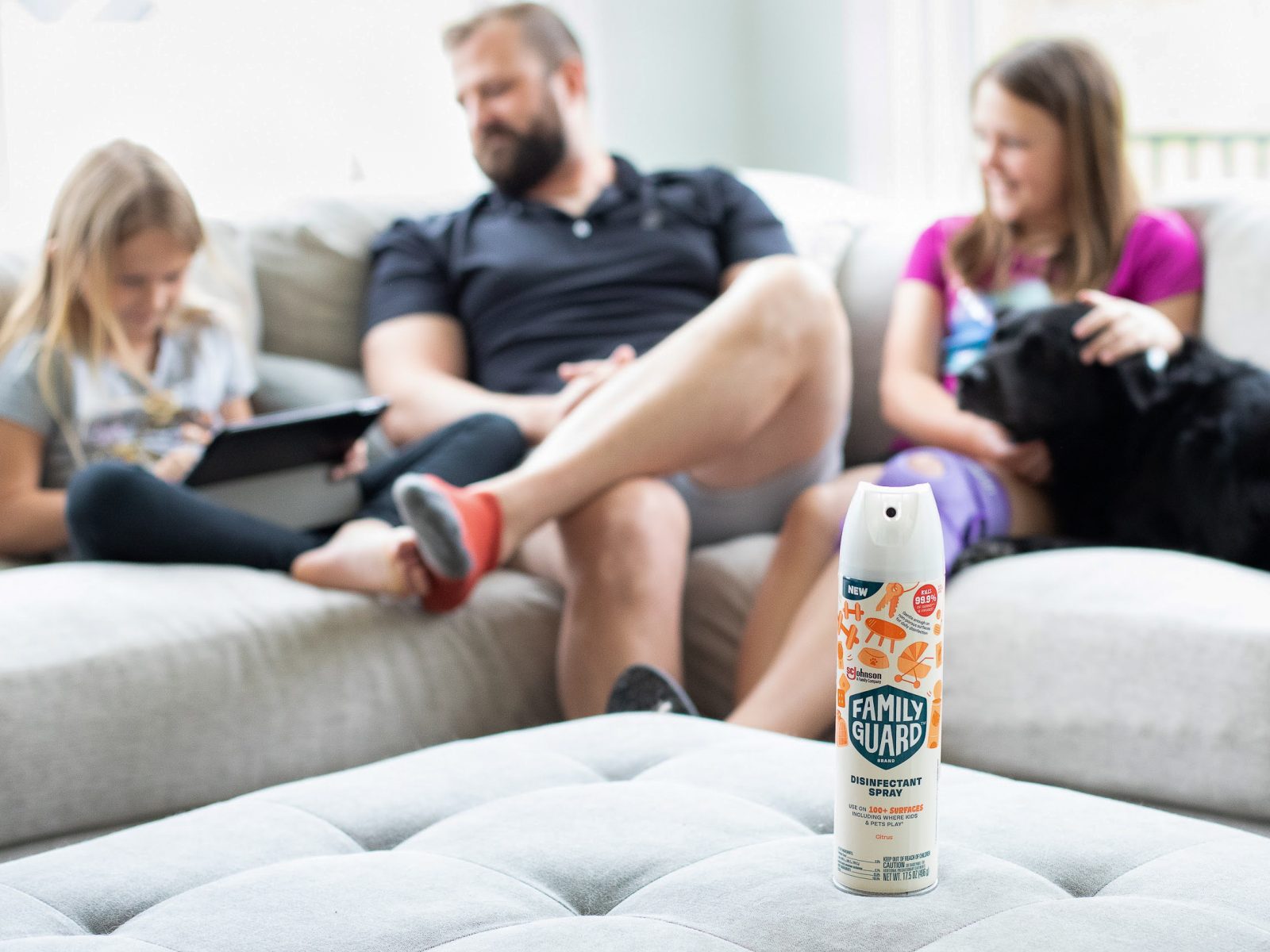 Save $2 On FamilyGuard™ Brand Disinfectant Spray At Publix - iHeartPublix