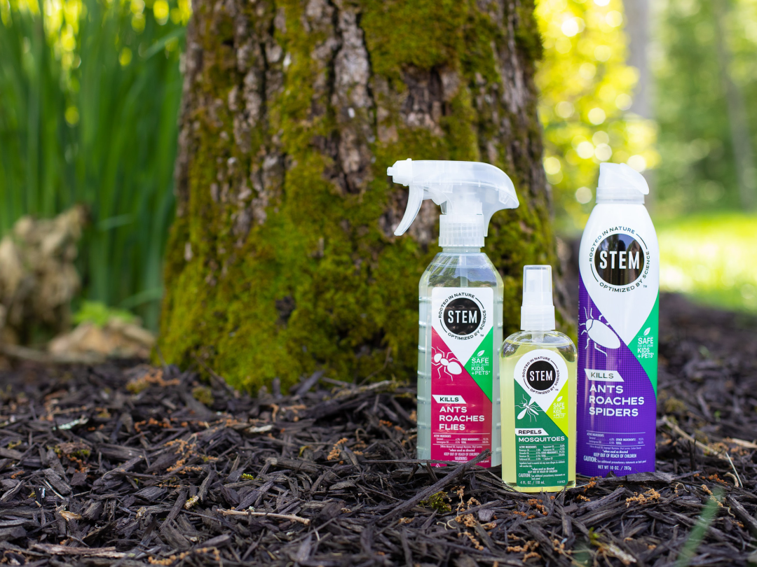 Protect Your Home From Pests With The Power Of Plants – Save BIG On ...