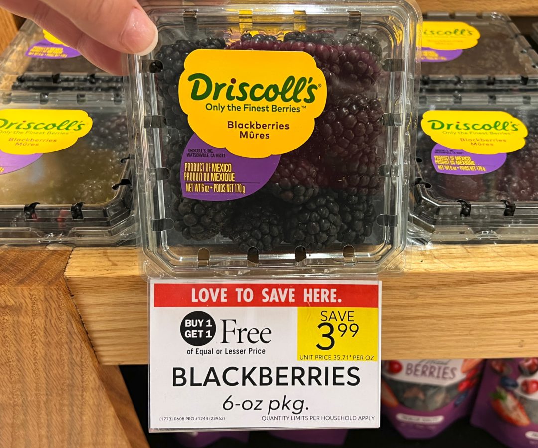Get Blackberries For Just $1.75 Per Container At Publix - iHeartPublix