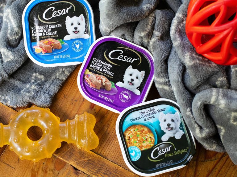 Get Cesar Dog Food Entrees As Low As 80¢ At Publix - iHeartPublix