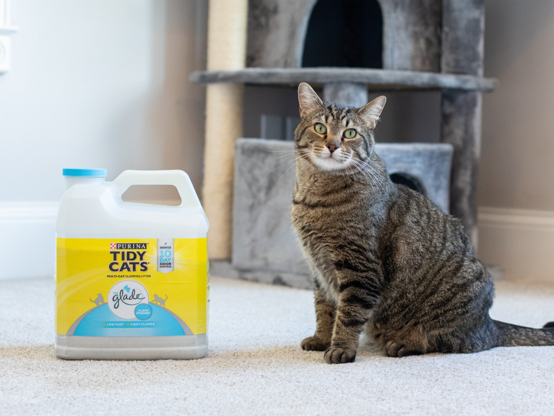Purina Tidy Cats Clumping Litter Just $4.75 At Publix (Regular Price ...