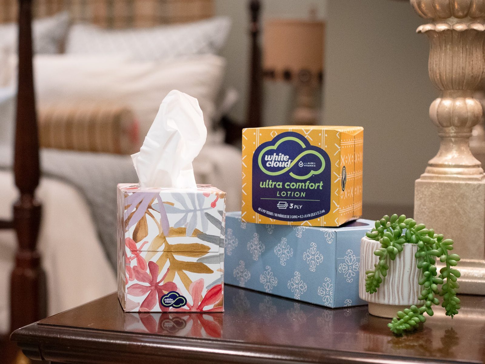 The Holidays Are Coming Up – Be Ready And Get Savings On White Cloud ...