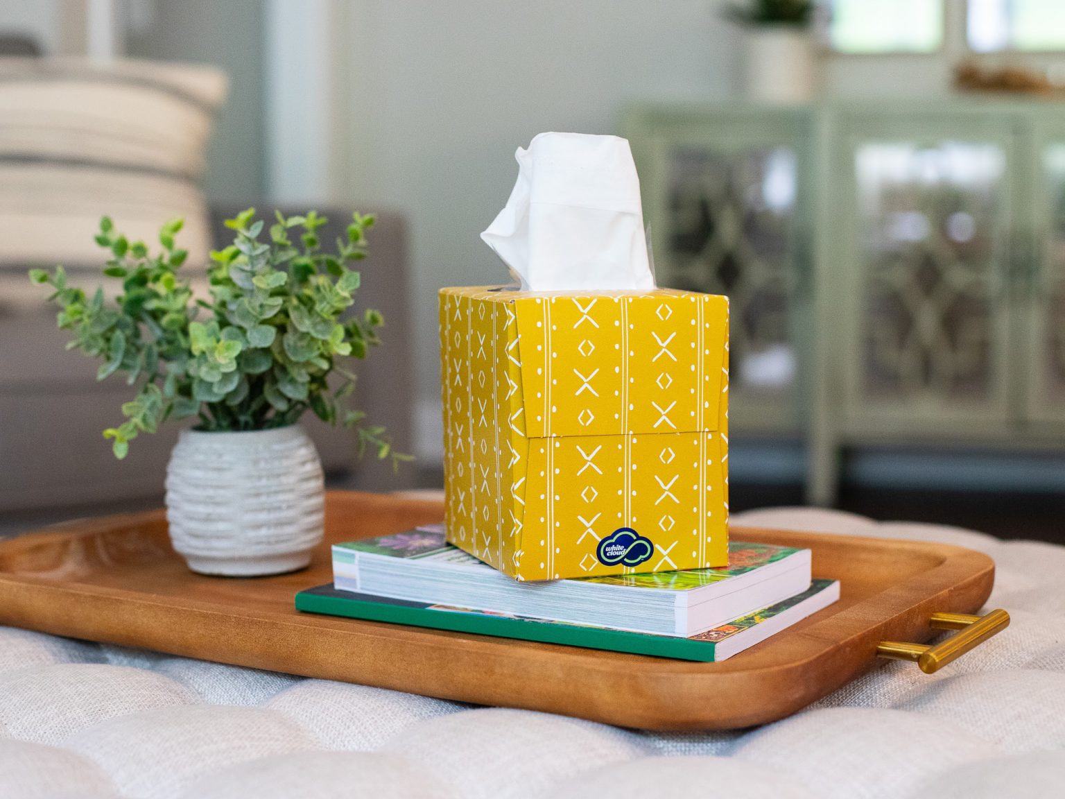 Try New White Cloud® 3 Ply Facial Tissue – BOGO At Publix - iHeartPublix