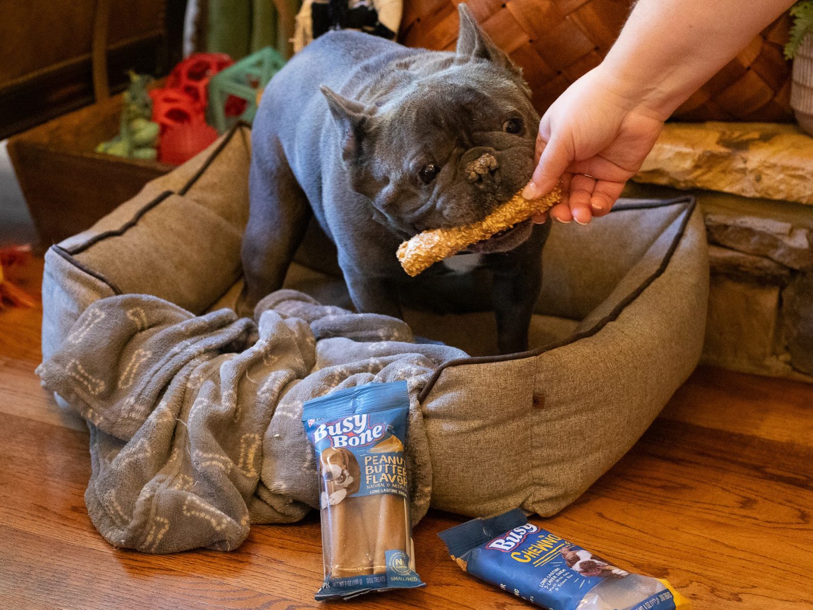Get Purina Busy Dog Bones As Low As $4 At Publix (Regular Price $11.99 ...