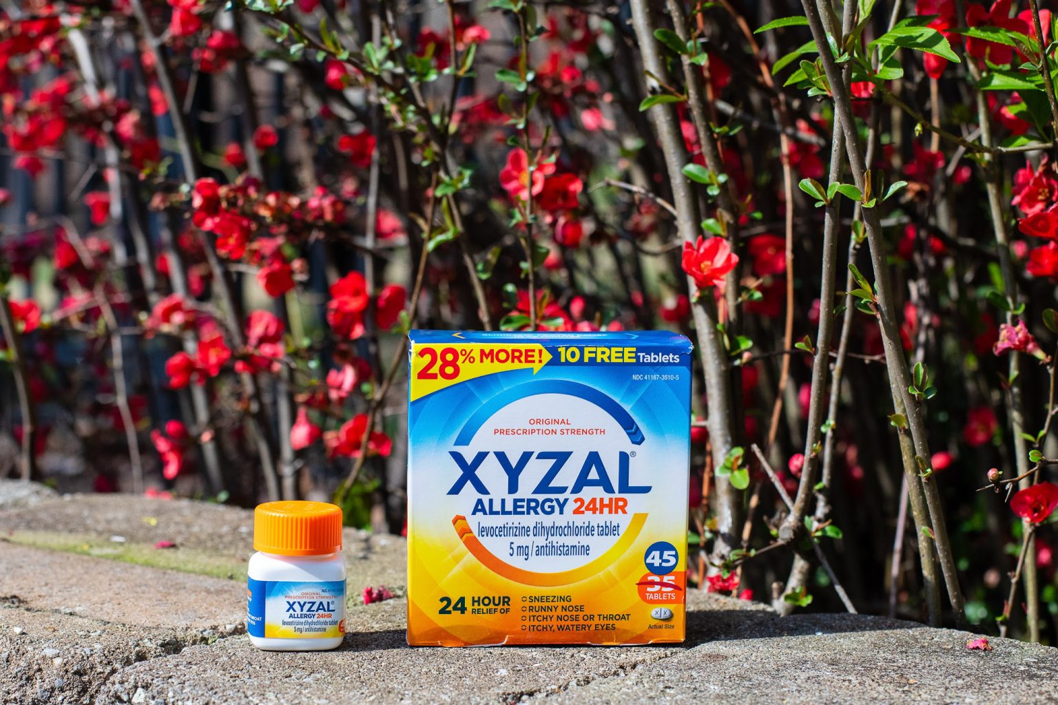 Xyzal Allergy Coupons For Sale – Big Savings On Allergy Meds At Publix - iHeartPublix