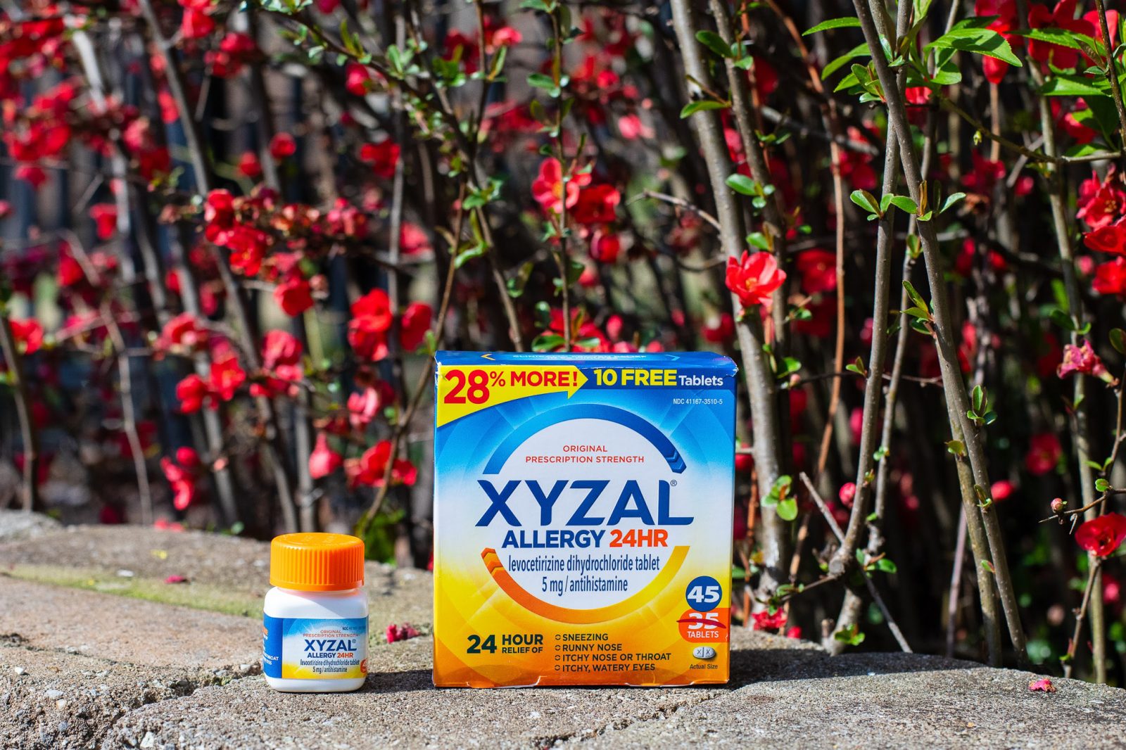Xyzal Allergy Coupons For Sale – Big Savings On Allergy Meds At Publix ...