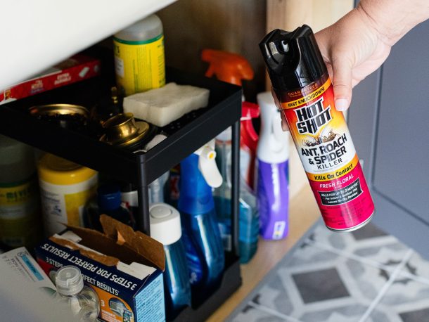 Hot Shot Ant, Roach & Spider Killer Spray As Low As $1.95 At Publix ...