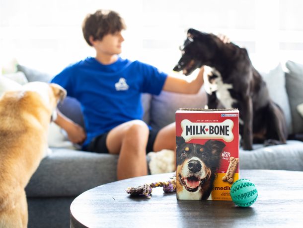 Milk-Bone Dog Treats As Low As $2.50 At Publix - iHeartPublix