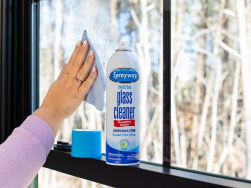 Grab A Deal On Sprayway Glass Cleaner Right Now At Publix – Just $2 Per ...