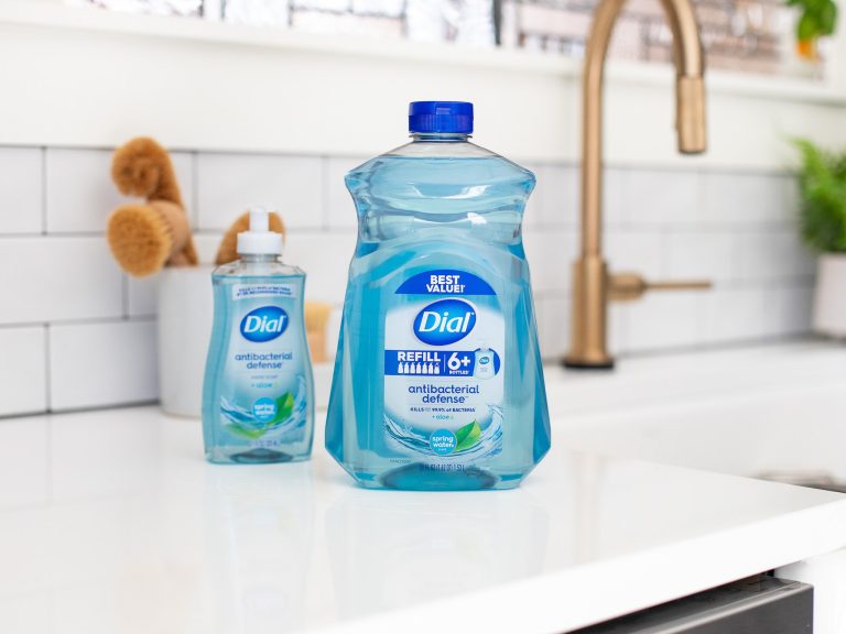 Dial Hand Soap Refill As Low As $4.50 At Publix - iHeartPublix