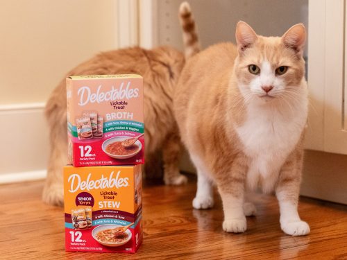 Look For A Purr-fect Deal On Hartz Delectables™ – $1.50 Off At Publix ...