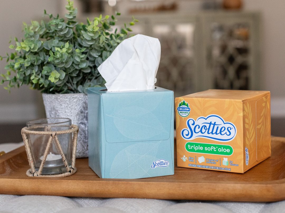 Get The Boxes Of Scotties Facial Tissues For Just $1.25 At Publix ...