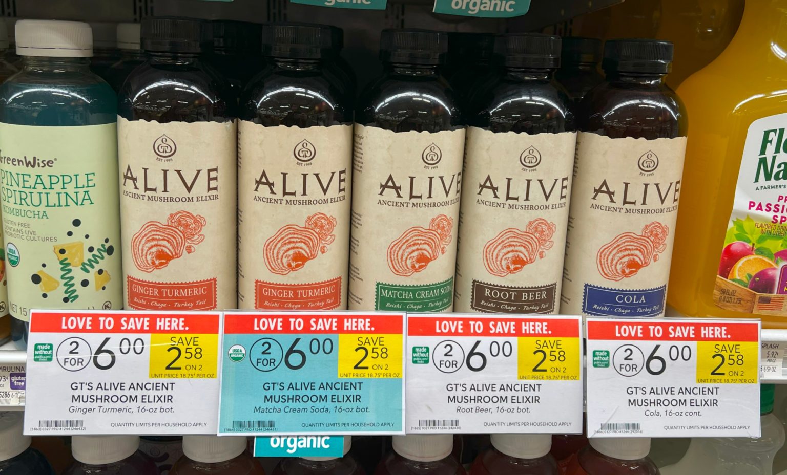 GT’s Alive Ancient Mushroom Elixir Just $2 At Publix - iHeartPublix