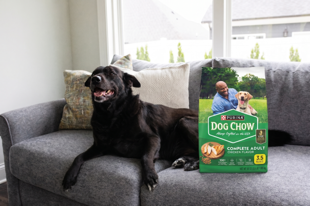 Purina Dog Chow As Low As $2.75 Per Bag At Publix With The BOGO Coupon ...