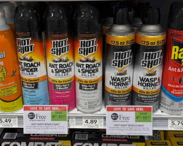 Hot Shot Ant, Roach & Spider Killer Spray As Low As $1.95 At Publix ...